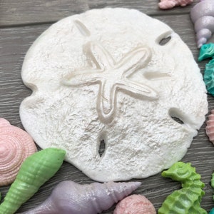 25 or 50 Edible Sugar Seashells Underwater Theme Beach Fondant Cake or ...