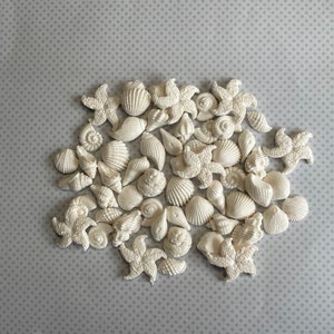 Tiny (1/2 Inch) White Edible Fondant Seashells Set With Shimmery Dust ...