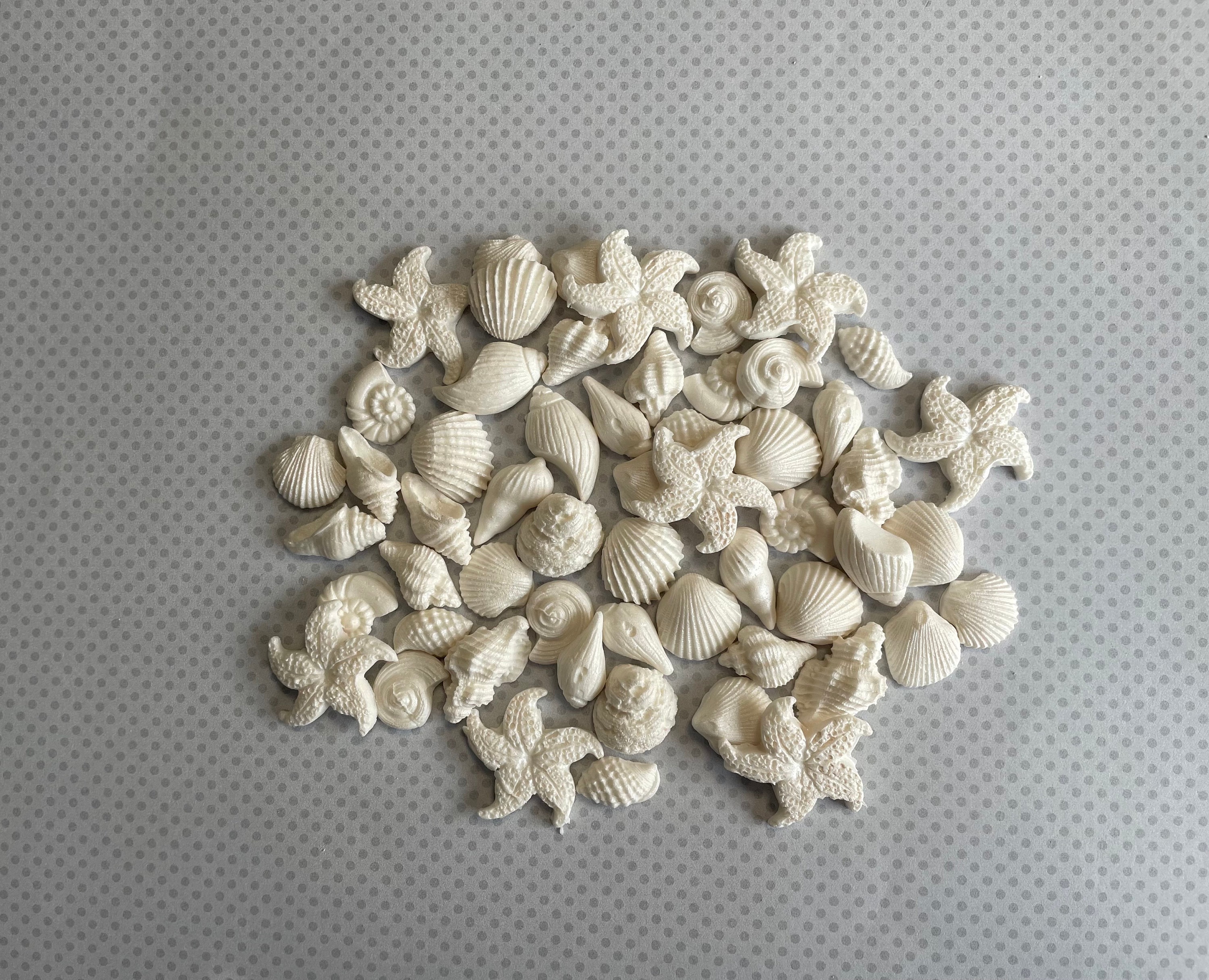 Tiny (1/2 Inch) White Edible Fondant Seashells Set With Shimmery Dust ...