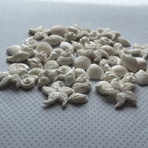 Tiny (1/2 Inch) White Edible Fondant Seashells Set With Shimmery Dust ...