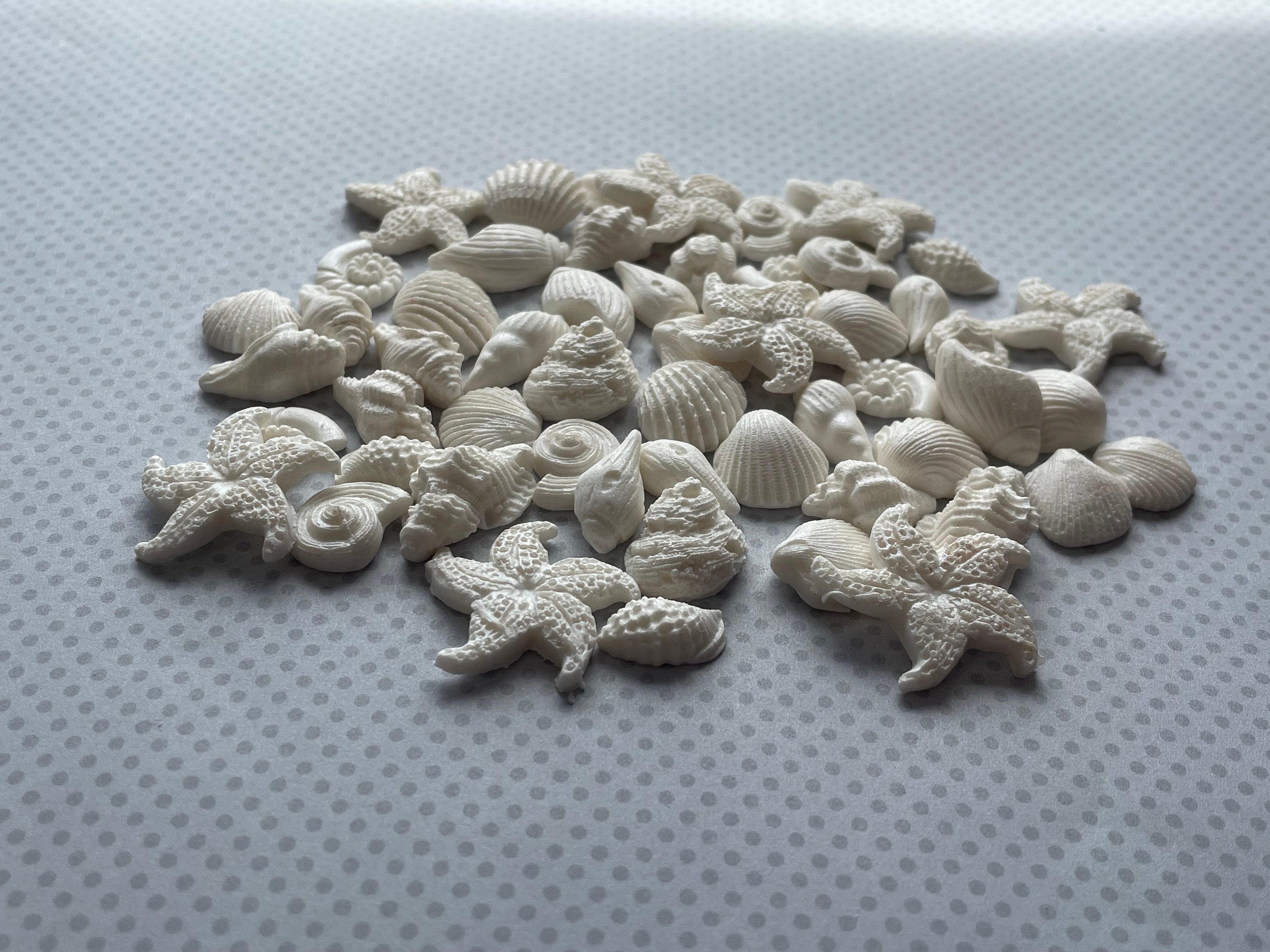 Tiny (1/2 Inch) White Edible Fondant Seashells Set With Shimmery Dust ...