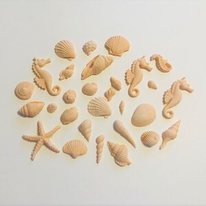 Ivory Natural Edible Fondant Seashells and Seahorses Set - Vegan - Nut ...