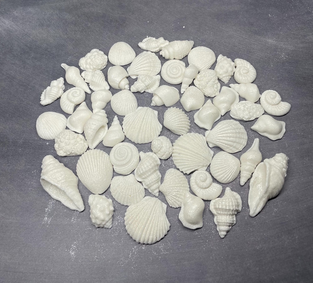 White Edible Fondant Seashells With Pearl Shimmer Finish-vegan and Nut ...