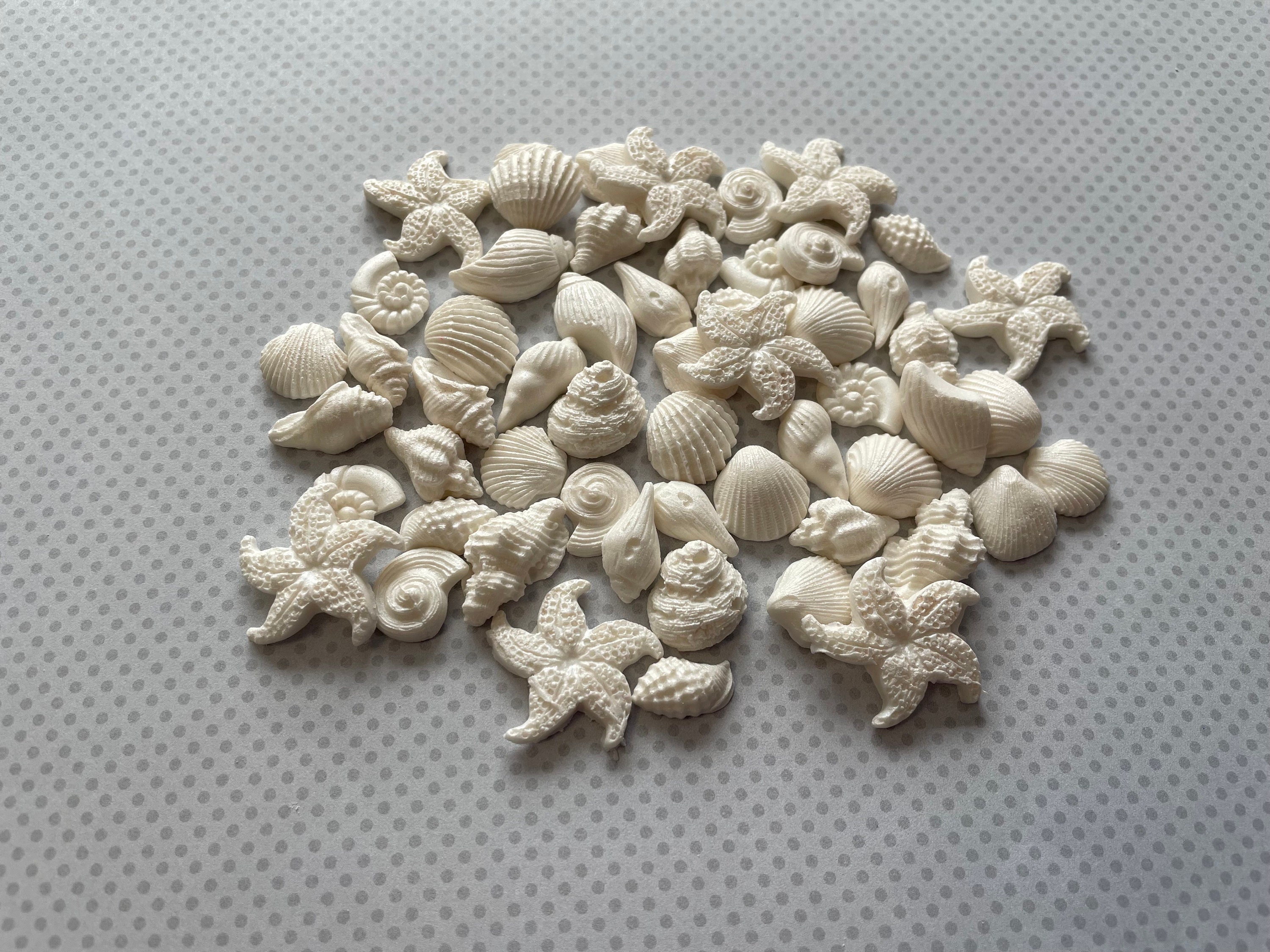 Tiny (1/2 Inch) White Edible Fondant Seashells Set With Shimmery Dust ...