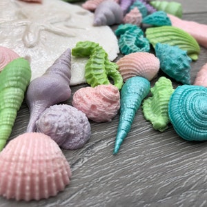 25 or 50 Edible Sugar Seashells Underwater Theme Beach Fondant Cake or ...