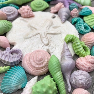 25 or 50 Edible Sugar Seashells Underwater Theme Beach Fondant Cake or ...