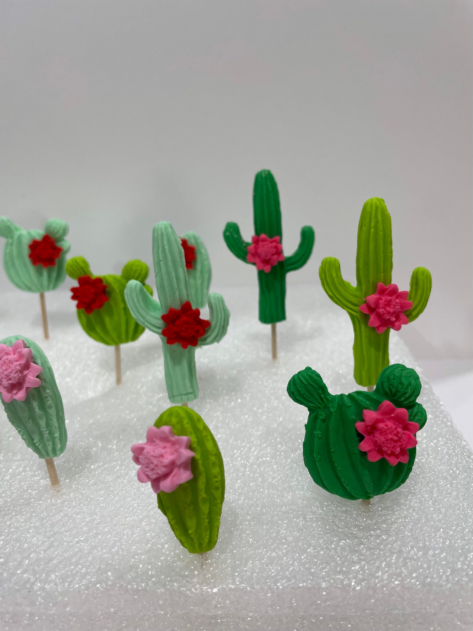 Fondant Cactus Set in 3 Colors - Etsy