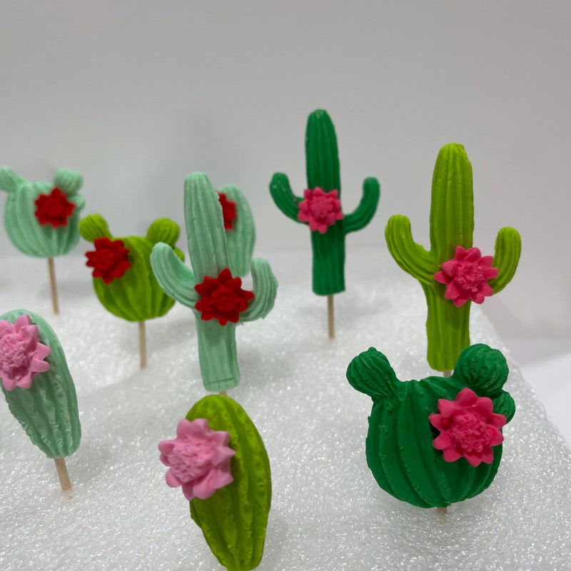 Cactus Cake Topper - Etsy