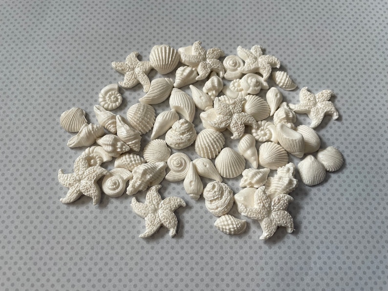 Tiny (1/2 Inch) White Edible Fondant Seashells Set With Shimmery Dust ...