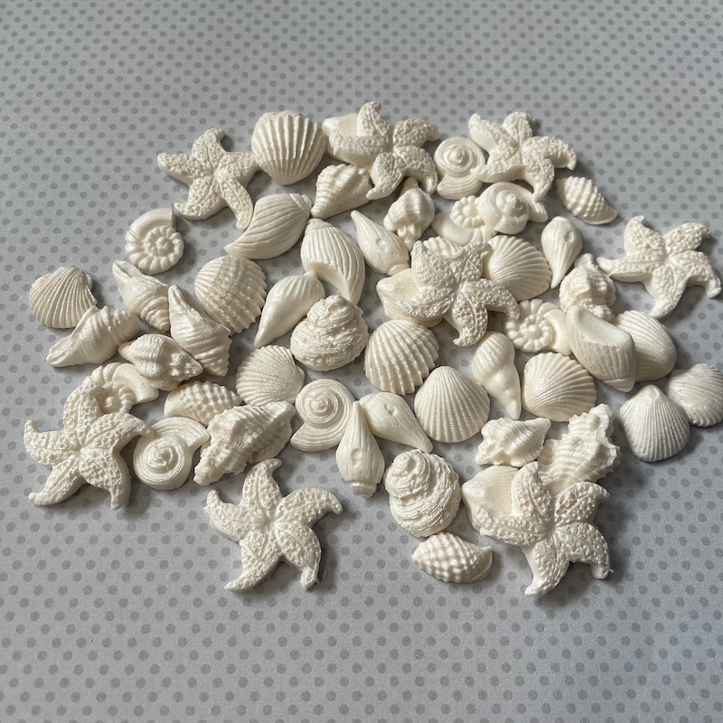 Tiny White Shells for Craft - Etsy