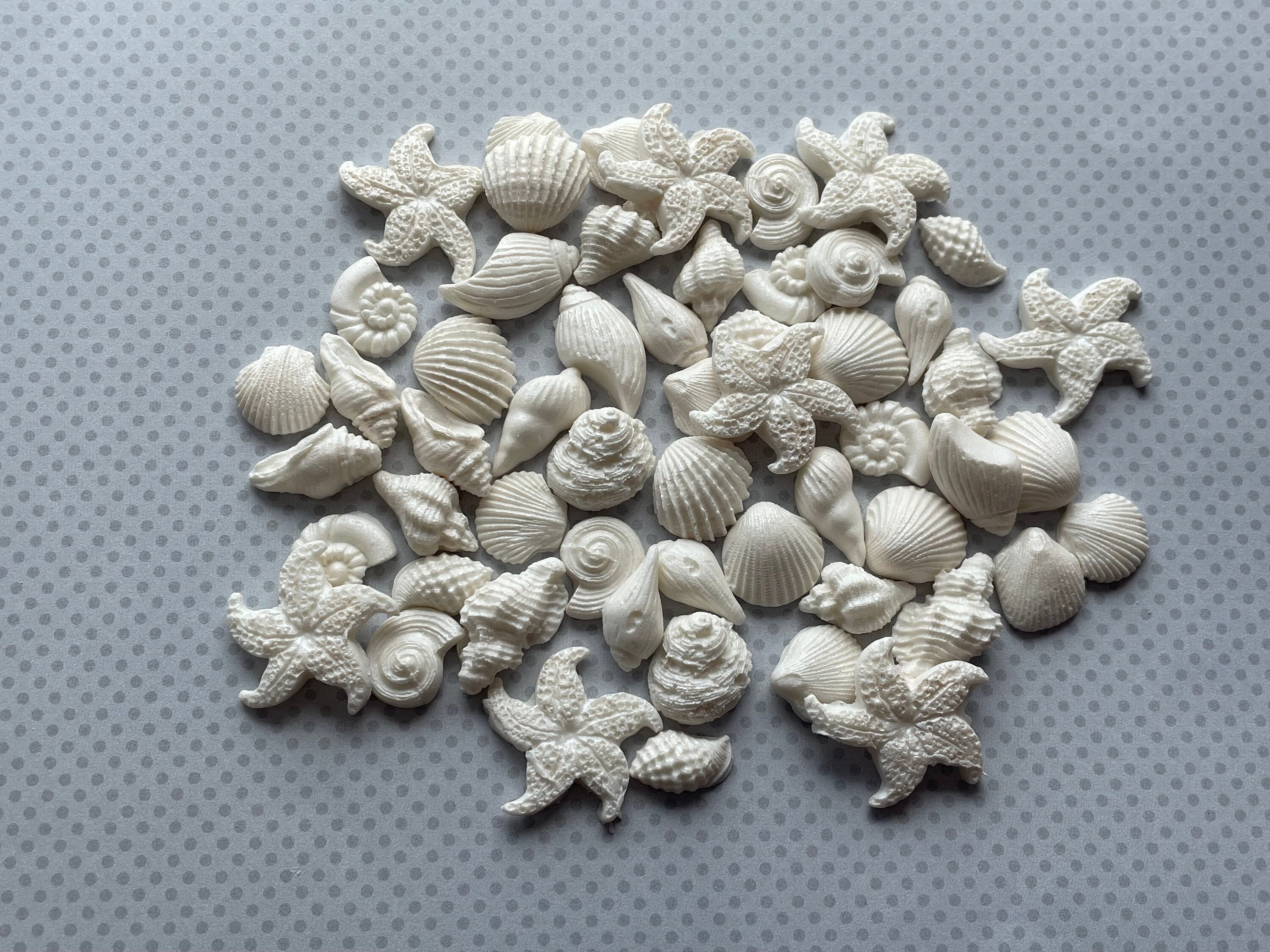 Tiny (1/2 Inch) White Edible Fondant Seashells Set With Shimmery Dust ...