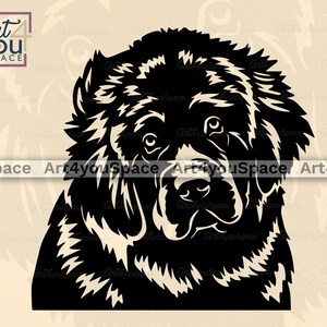 Newfoundland Svg, Dog Svg File for Cricut, Newfie Art Clipart, Peeking ...