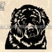 Newfoundland Svg Dog Svg File for Cricut Newfie Art Clipart - Etsy