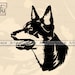 Australian Kelpie Dog Svg Files for Cricut, Face Clipart, Vector ...