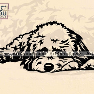 Cavapoo Svg, Dog SVG File Cricut, Cute Puppy Clipart, Download PNG ...