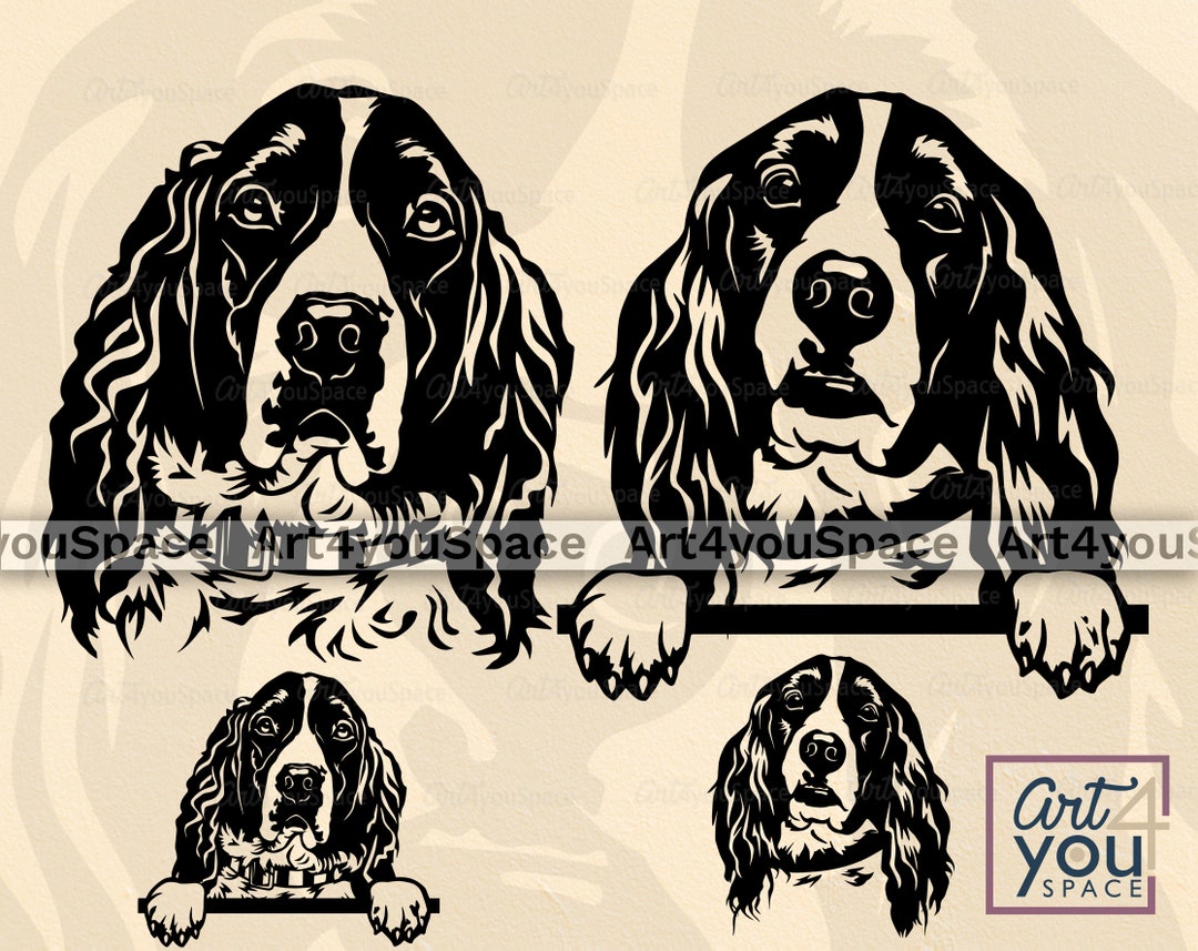 English Springer Spaniel Svg, Dog Svg Cricut, Clipart Download, Png ...