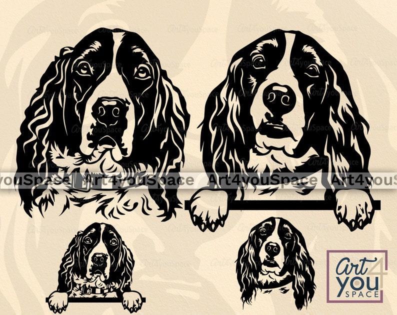 English Springer Spaniel Svg Dog Svg Cricut Clipart - Etsy