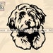 Cockapoo Dog SVG Cricut Cute Puppy Clipart Download PNG - Etsy