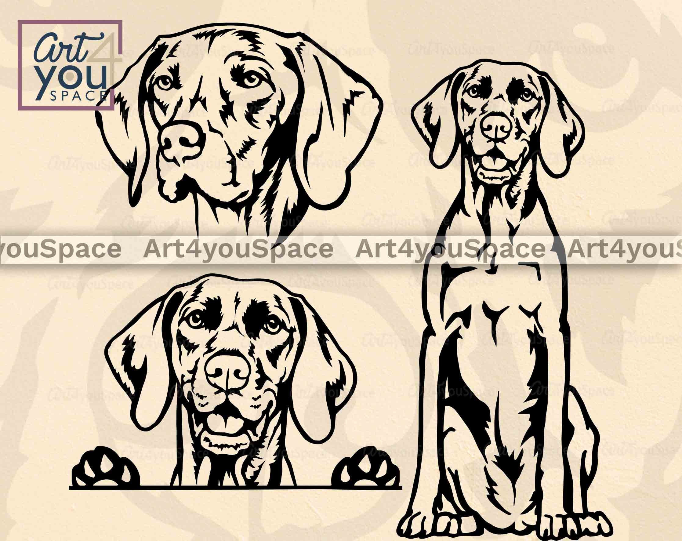 Vizsla Svg Dog Svg Files for Cricut Hunting Breed Vector - Etsy UK