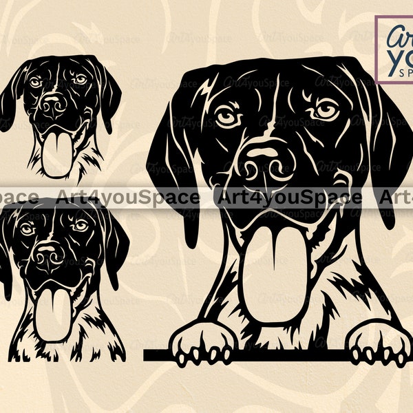German Shorthaired Pointer - Etsy