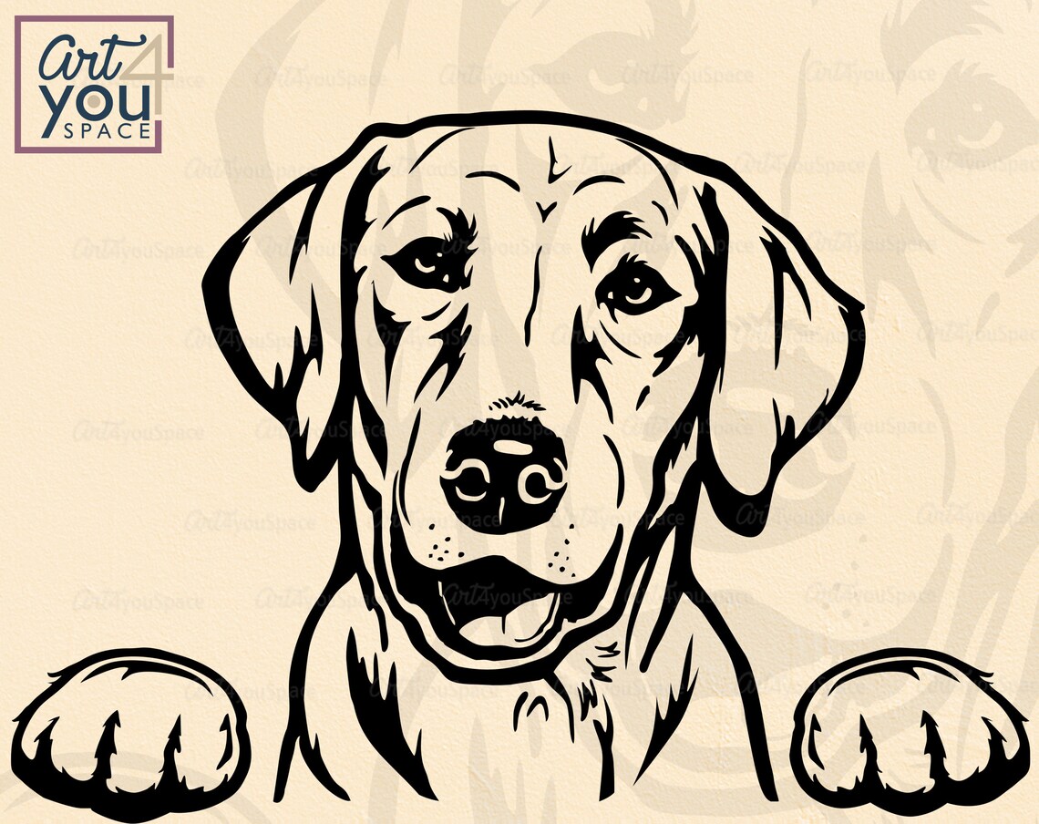 Labrador Retriever Svg Funny Lab Clipart Cricut Hunting Dog - Etsy