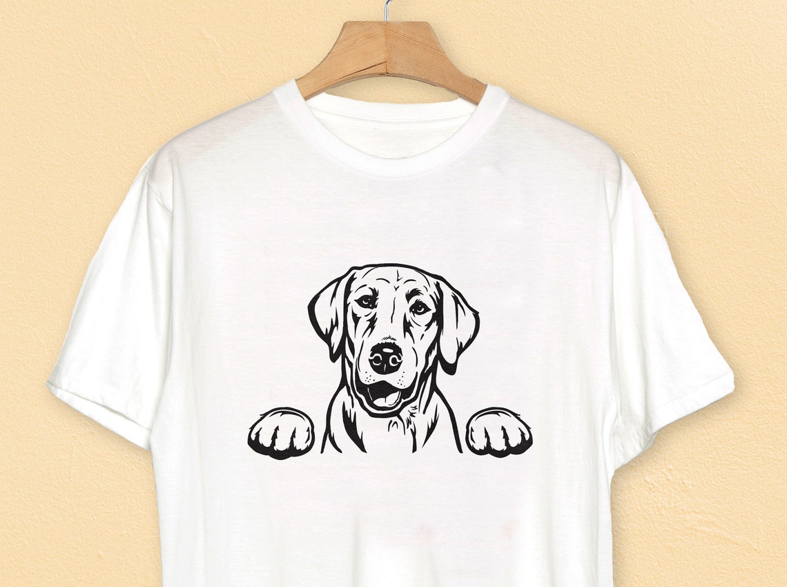 Labrador Retriever Svg Funny Lab Clipart Cricut Hunting Dog | Etsy Canada