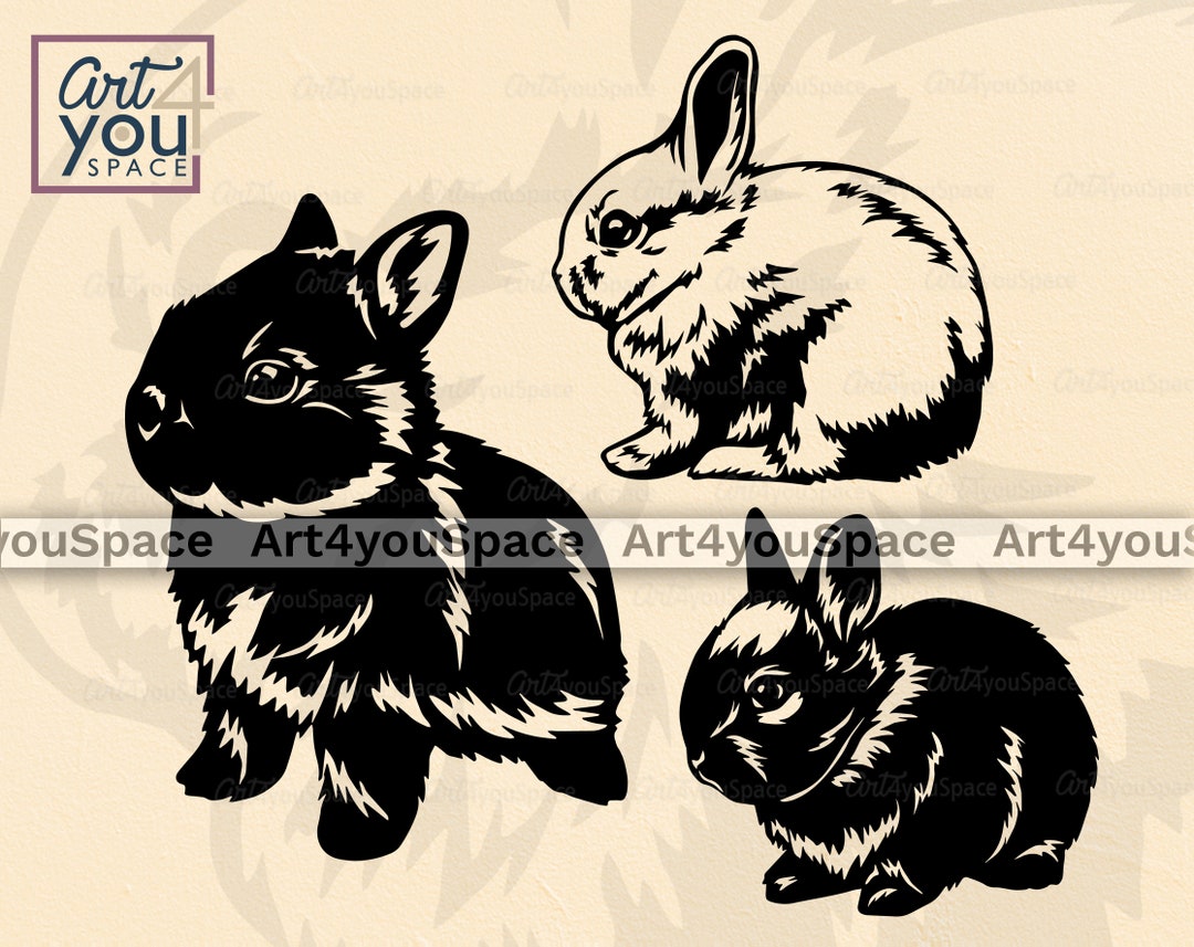 Netherland Dwarf Rabbit Svg Files for Cricut, Rabbit SVG, Bunny Clipart ...