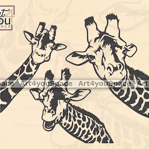 Giraffe SVG, Africa, Safari Animal, Wild Life, Funny Giraffes, Head ...