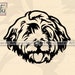 Cockapoo Dog SVG Cricut, Cute Puppy Clipart, Download PNG, Breed Vector ...