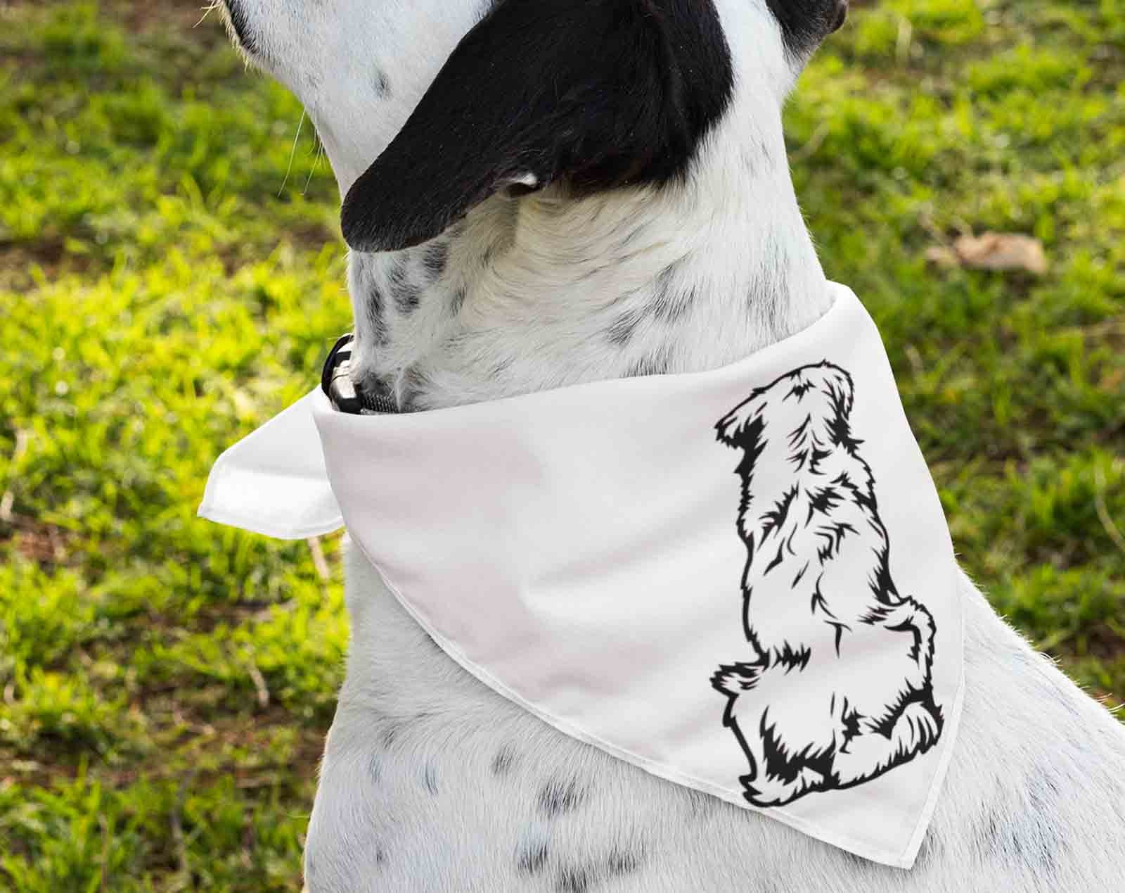 Labrador Svg Files for Cricut, Dog Svg Clipart Download, Lab Design ...