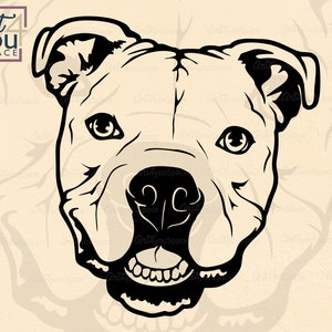 Cute American Bully Svg, Dog Svg, Cricut, Funny Face, Head Pet Breed ...