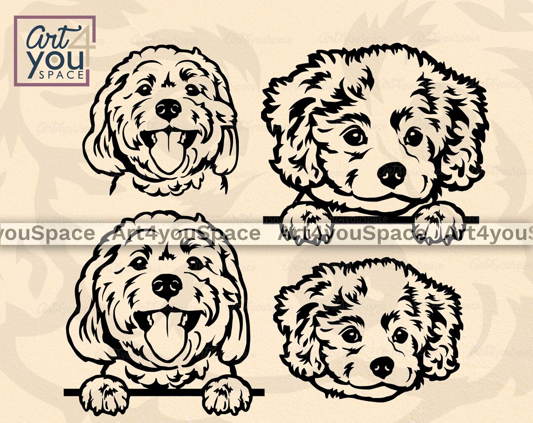 Cavachon, Dog Svg File Cricut, Cute Puppy Face Clipart, Funny Peeking ...