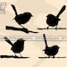 Blue Wren Svg Files for Cricut, Australian Bird on Branch Vector for ...