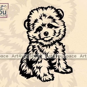 Pomapoo, SVG Files for Cricut Download, Pomeranian Poodle Mix Vector ...