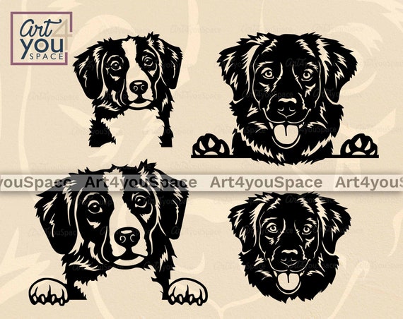 Toller Dog Svg Cricut Nova Scotia Duck Tolling Retriever Face | Etsy