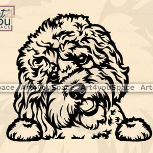 Cavapoo Svg, Dog SVG File Cricut, Cute Puppy Clipart, Download PNG ...