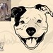 Cow Head Svg Cricut, Heifer Clipart, Farm Animal Png, Angus Cow Face ...