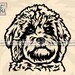 Cavapoo Svg, Dog SVG File Cricut, Cute Puppy Clipart, Download PNG ...