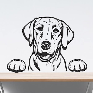 Labrador Retriever Svg, Funny Lab Clipart, Cricut, Hunting Dog Face ...