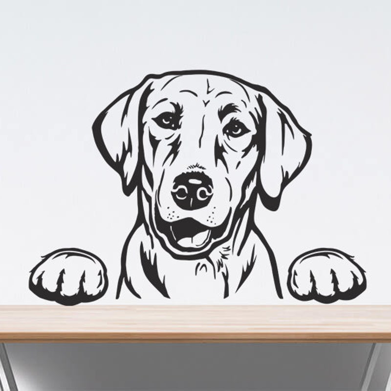 Peeking Lab Svg - Etsy