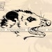 Opossum Svg, Possum Screaming Clipart, Woodland Animal, Wild Nature ...