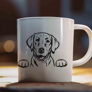 Labrador Retriever Svg, Funny Lab Clipart, Cricut, Hunting Dog Face ...