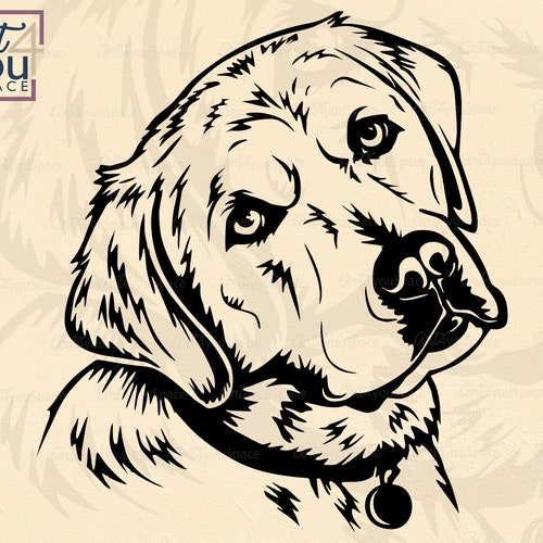 Labrador Svg Dog Svg Cricut Lab Face Clipart Head Download - Etsy