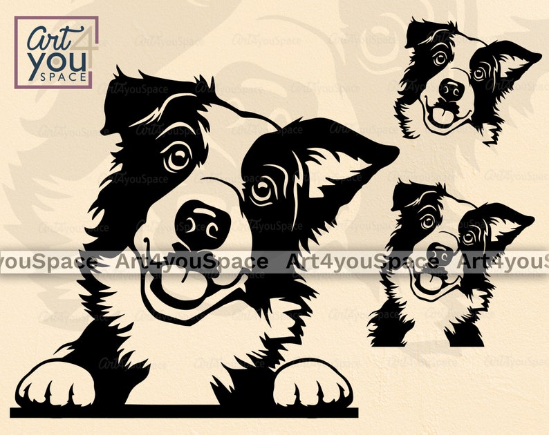 Border Collie Svg, Dog Svg File for Cricut, Face, Peeking Head Paws ...