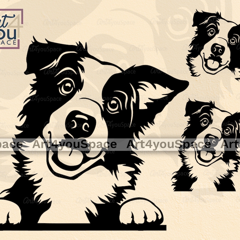 Border Collie Svg - Etsy