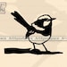 Blue Wren Svg Files for Cricut, Australian Bird on Branch Vector for ...