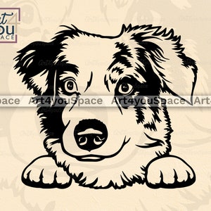 Miniature Australian Shepherd SVG PNG DXF, Dog Cricut Project, Mini ...