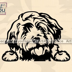 Cockapoo Dog SVG Cricut, Cute Puppy Clipart, Download PNG, Breed Vector ...