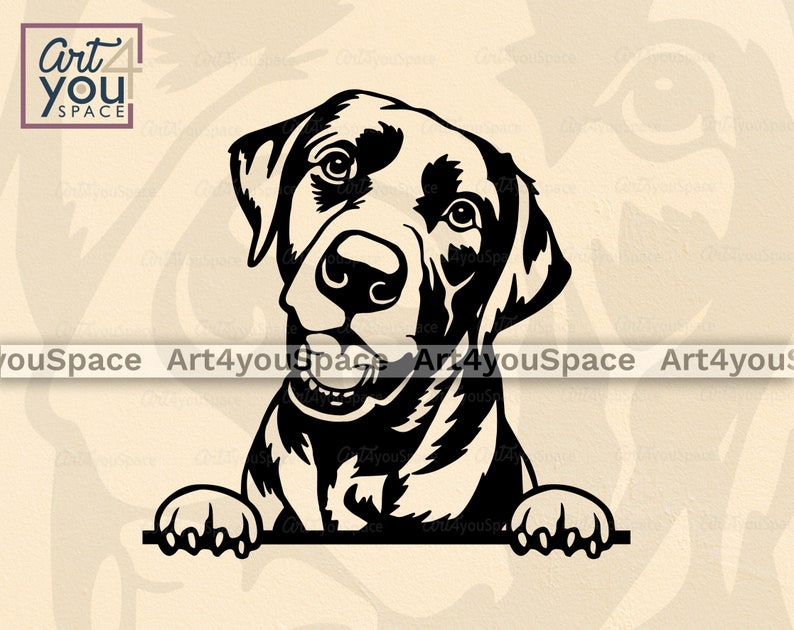 Labrador Svg Dog Svg Cricut Golden Retriever Svg Face Head - Etsy