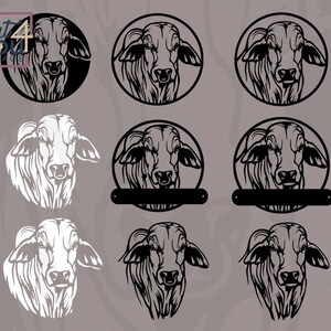 Brahman Cow, Cattle Svg, Laser Cut Vector Stencil, Farmhouse Sign, Farm ...